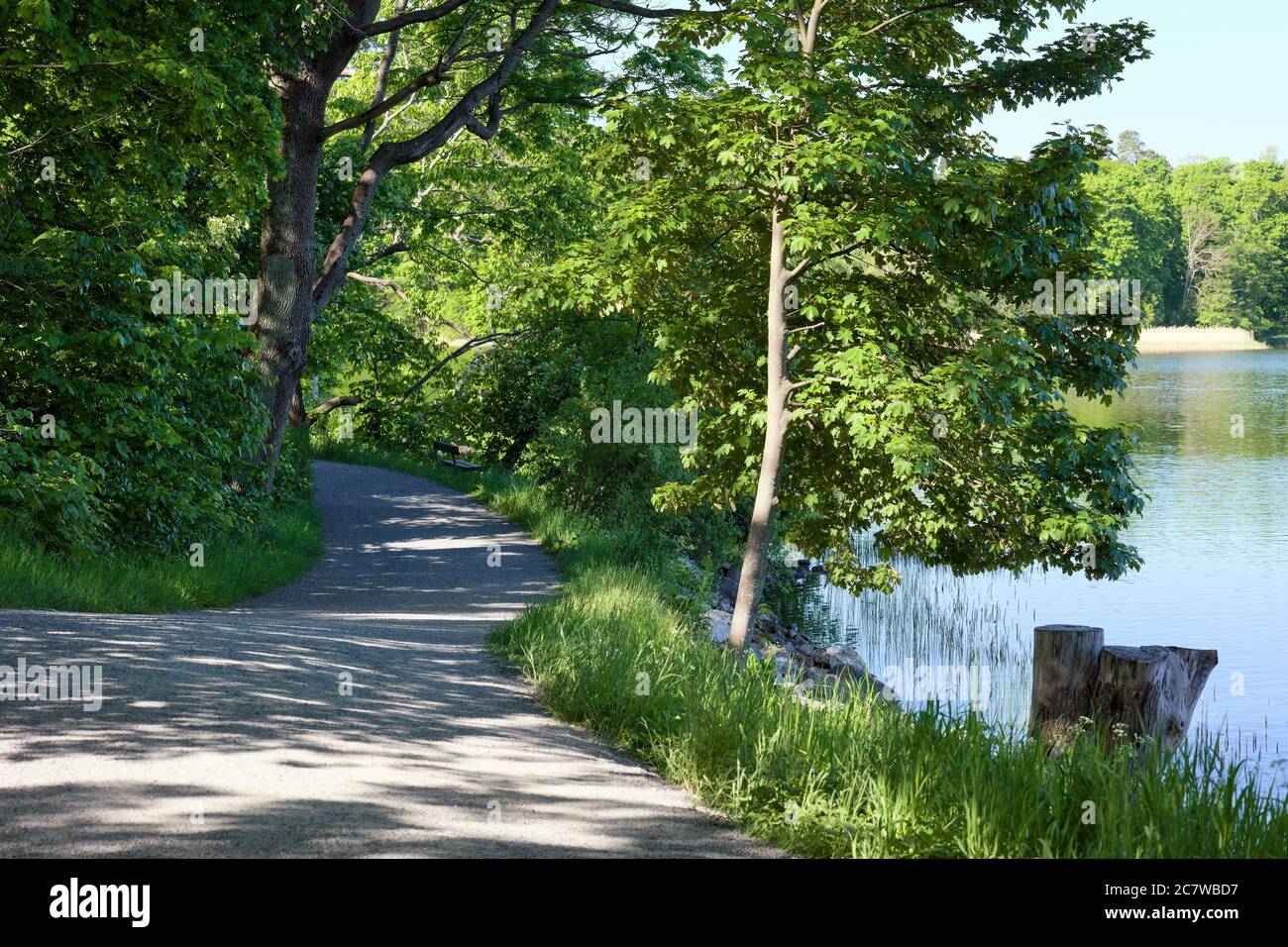 Morning walk along Brunnsviken, Stockholm, Sweden Stock Photo - Alamy