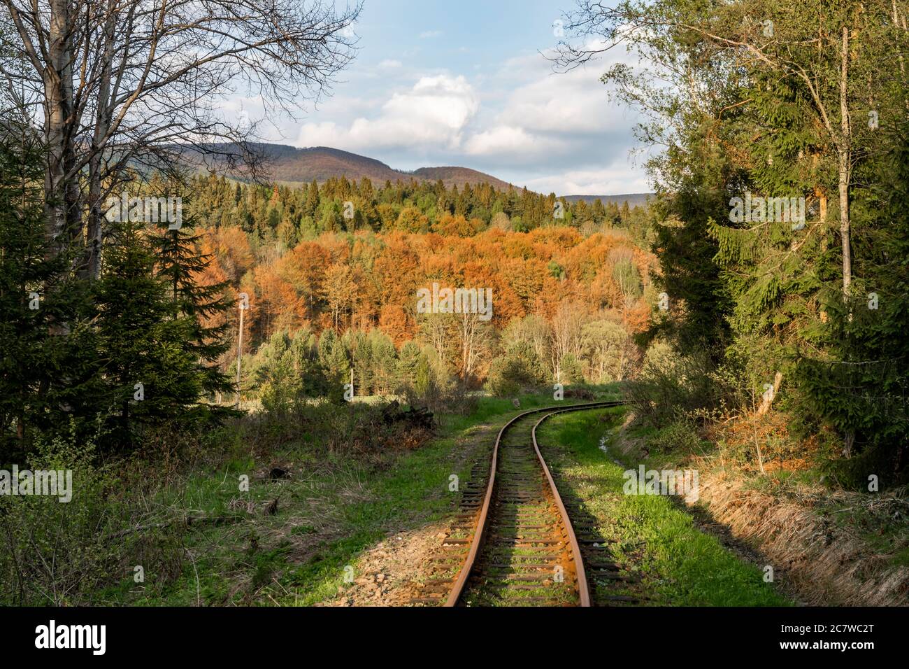 Narrow gauge train tracks hi-res stock photography and images - Alamy