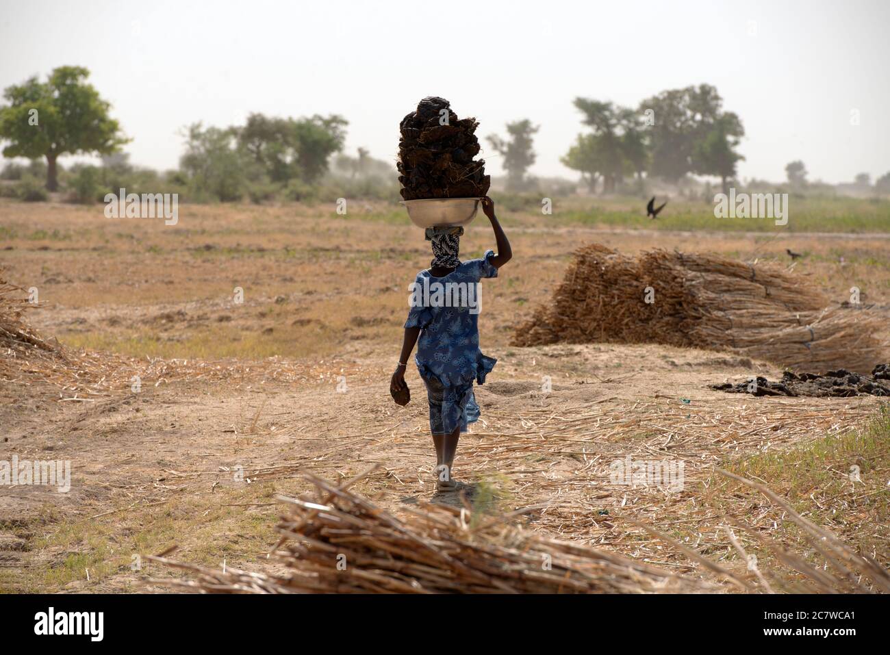 An indigenous Bozo woman carrying a bowl on her head as she walks in ...