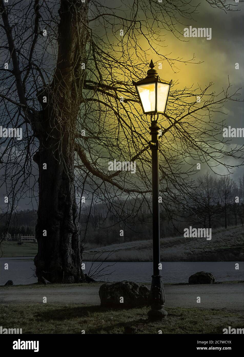 Lamp post night branches hi-res stock photography and images - Alamy