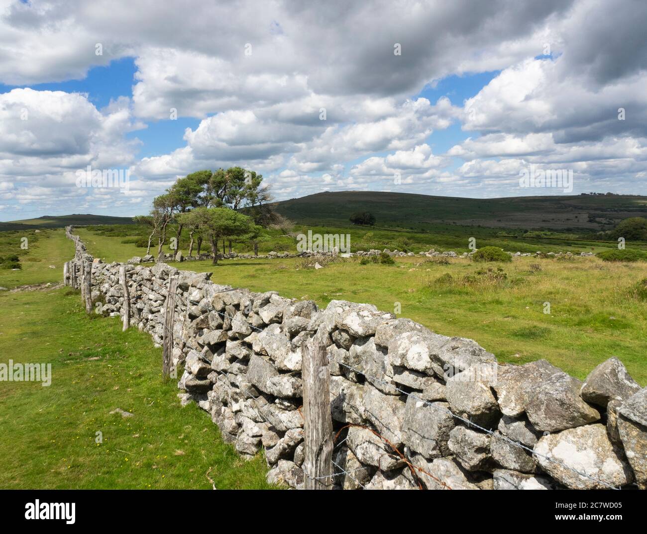 A long old dry stone wall enclosure on Buckland Common, Dartmoor, Devon ...
