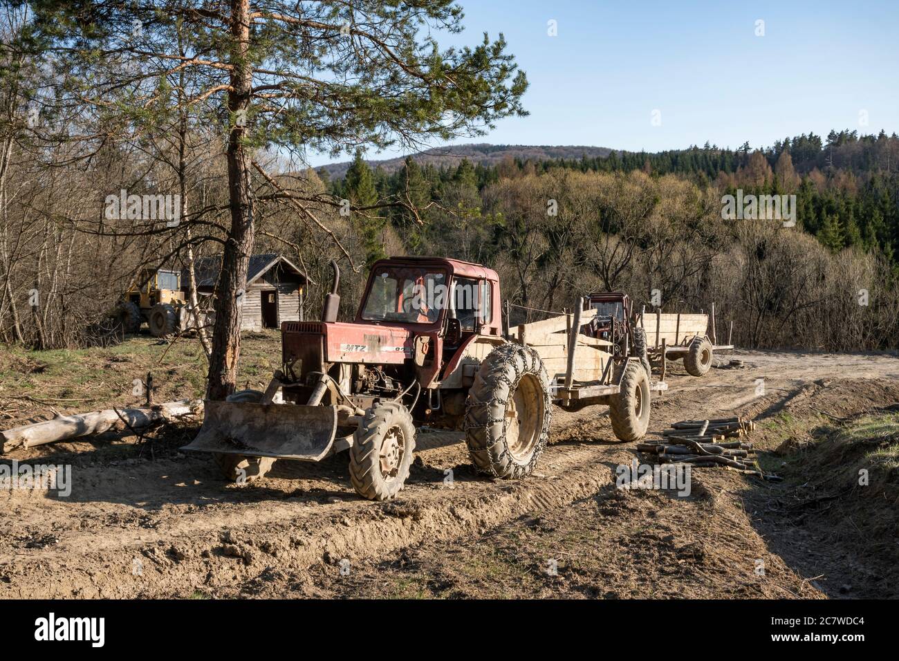 Old Belarusian tractors (MTZ Belarus) with trailer for wood ...