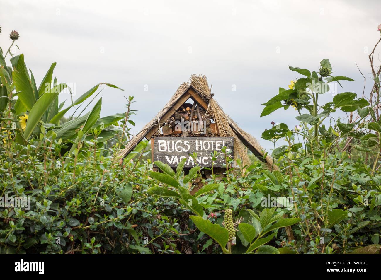 Closeup of a man-made Bugs Hotel - Insect Hotel Stock Photo - Alamy