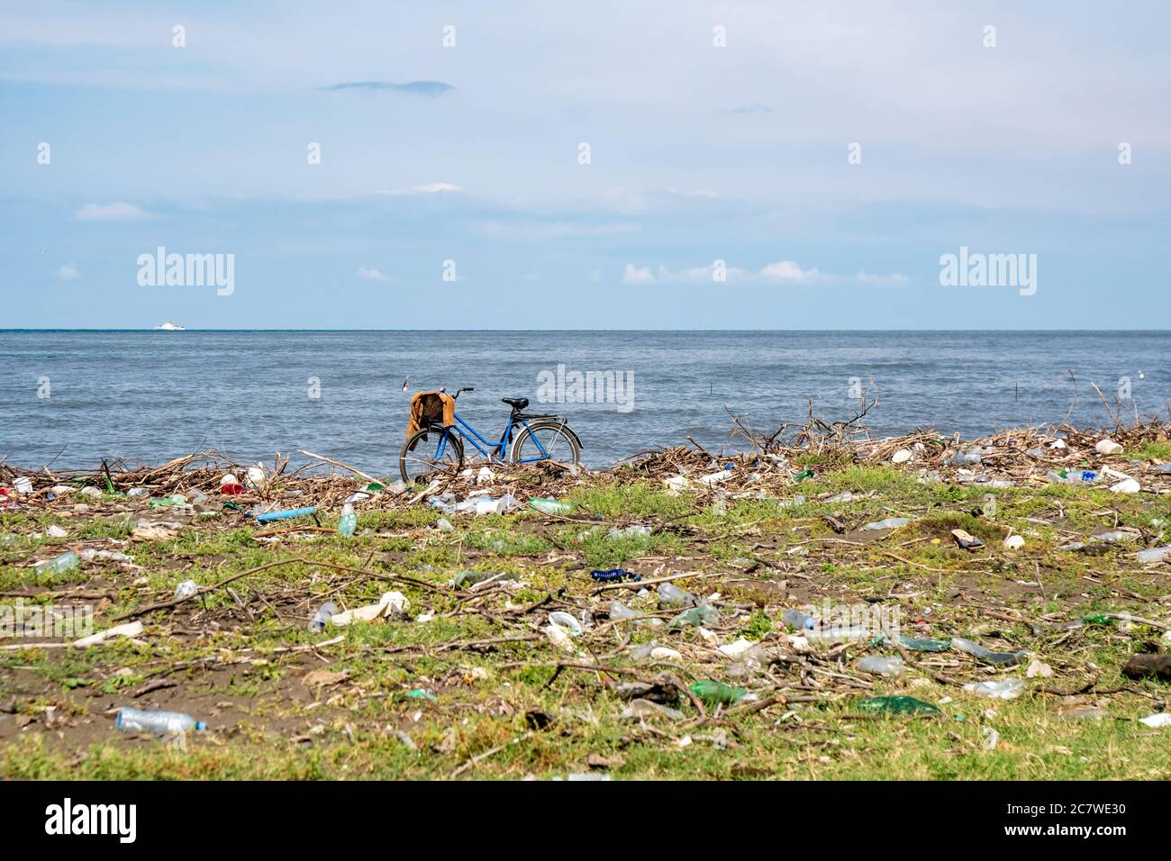 The problem of pollution and ecology of the sea shore and the ocean ...