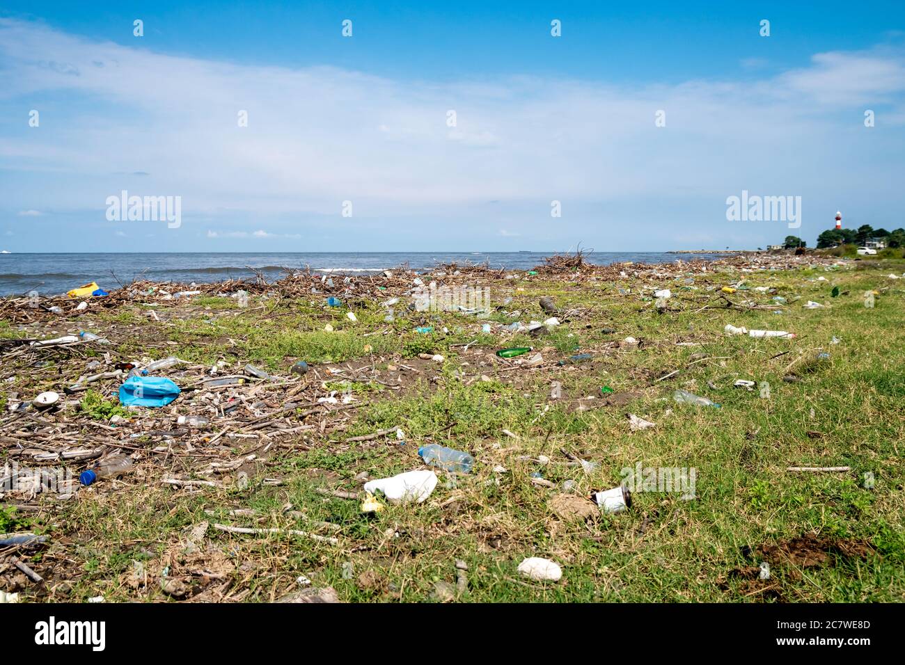 The problem of pollution and ecology of the sea shore and the ocean ...