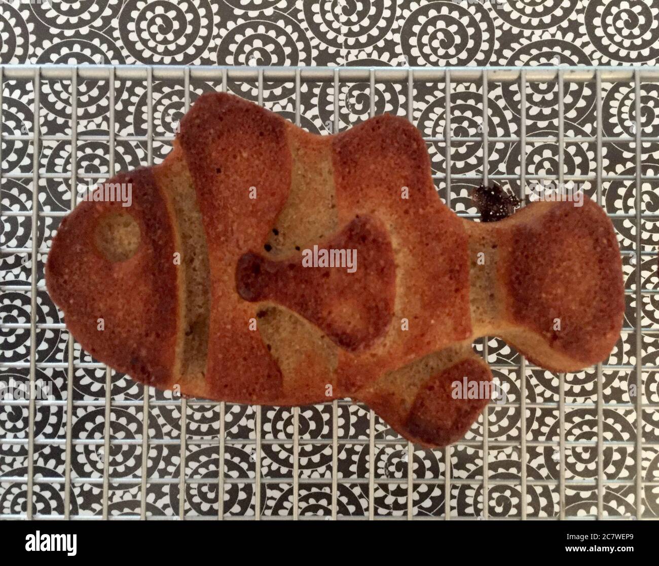 Closeup shot of a fish-shaped biscuit Stock Photo - Alamy