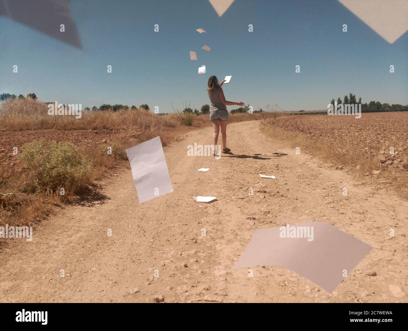 Back view of a young Caucasian femal throwing paper sheets up in the ...