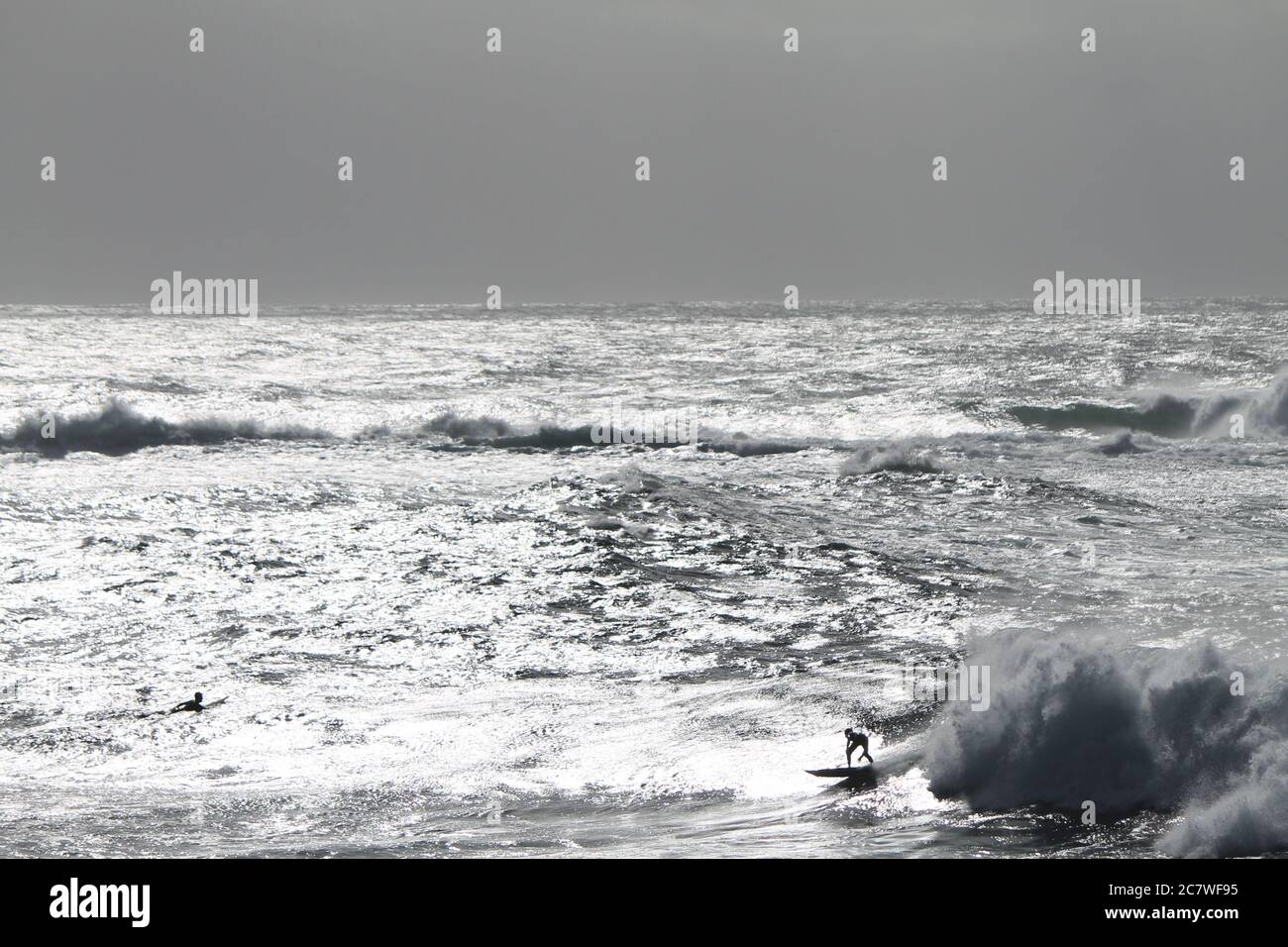 Spectacular grayscale shot of boundless ocean and surfers Stock Photo ...
