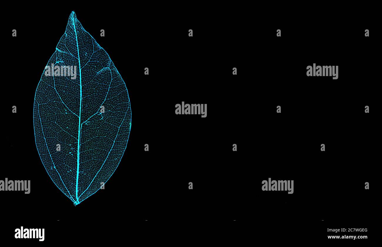 Fragile Texture High Resolution Stock Photography and Images - Alamy