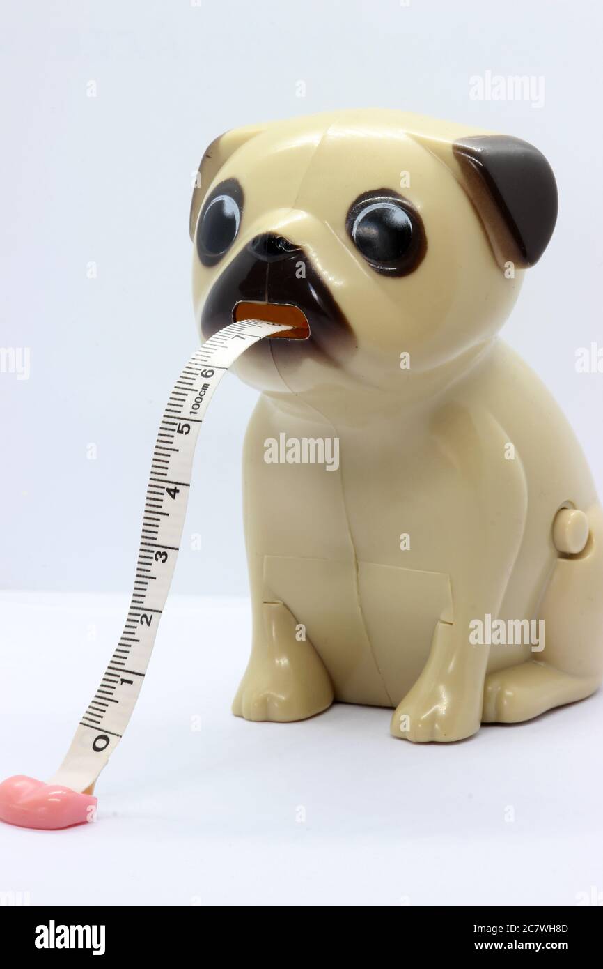 Novelty ruler hi-res stock photography and images - Alamy