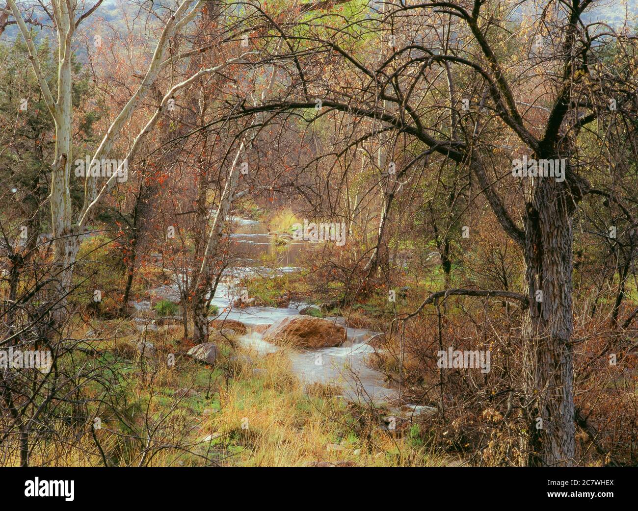 Tanque verde falls hi-res stock photography and images - Alamy