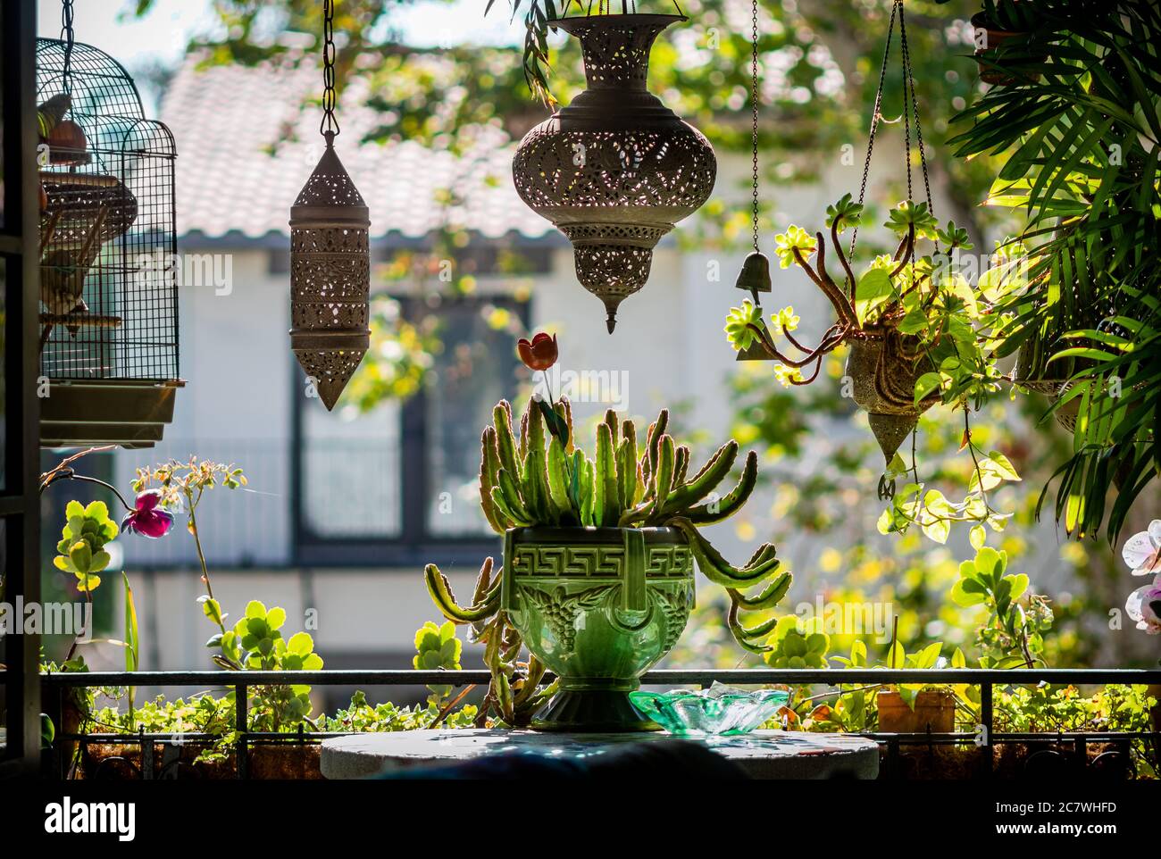 Beverly morning hi-res stock photography and images - Alamy