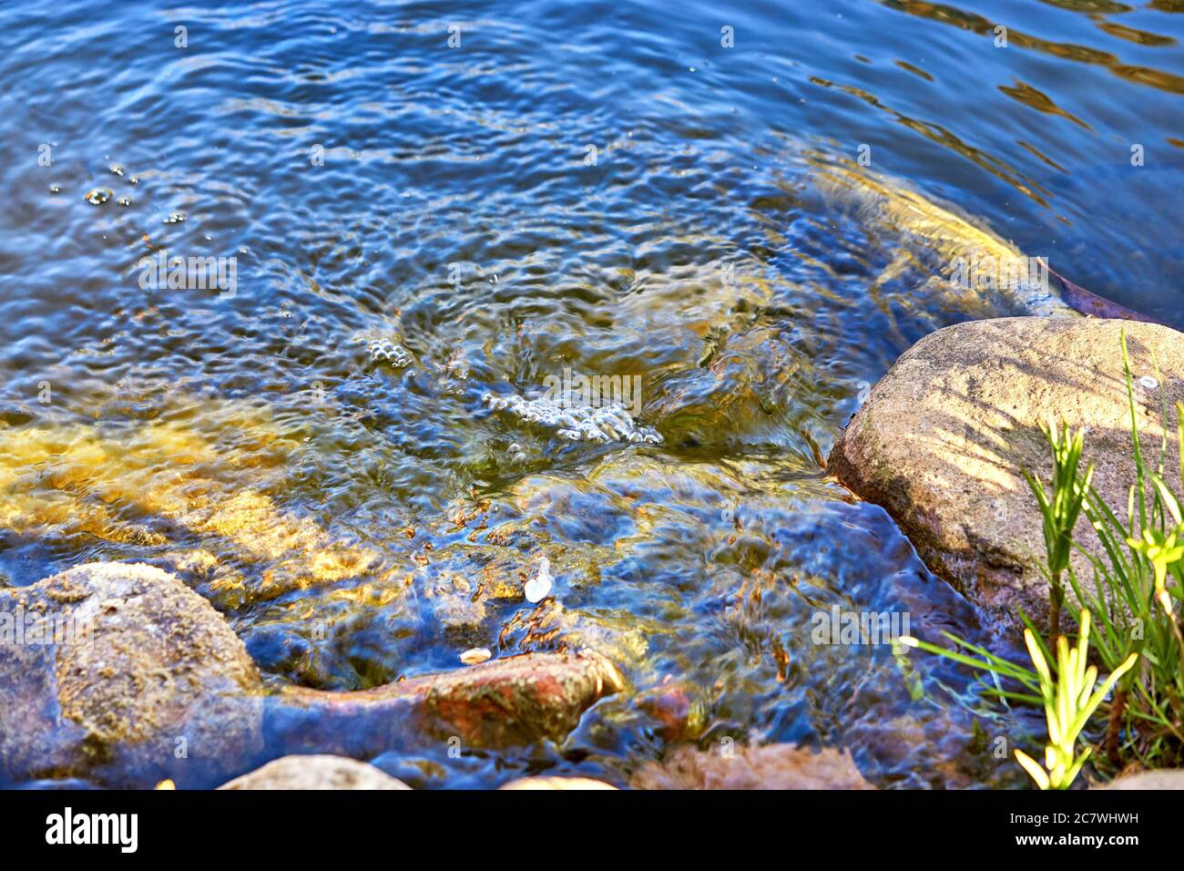 Pebbles water ripples aqua hi-res stock photography and images - Alamy