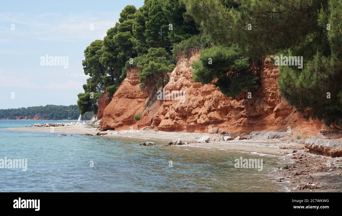 Closeup shot of a cliff with orange soul and think green forests ...
