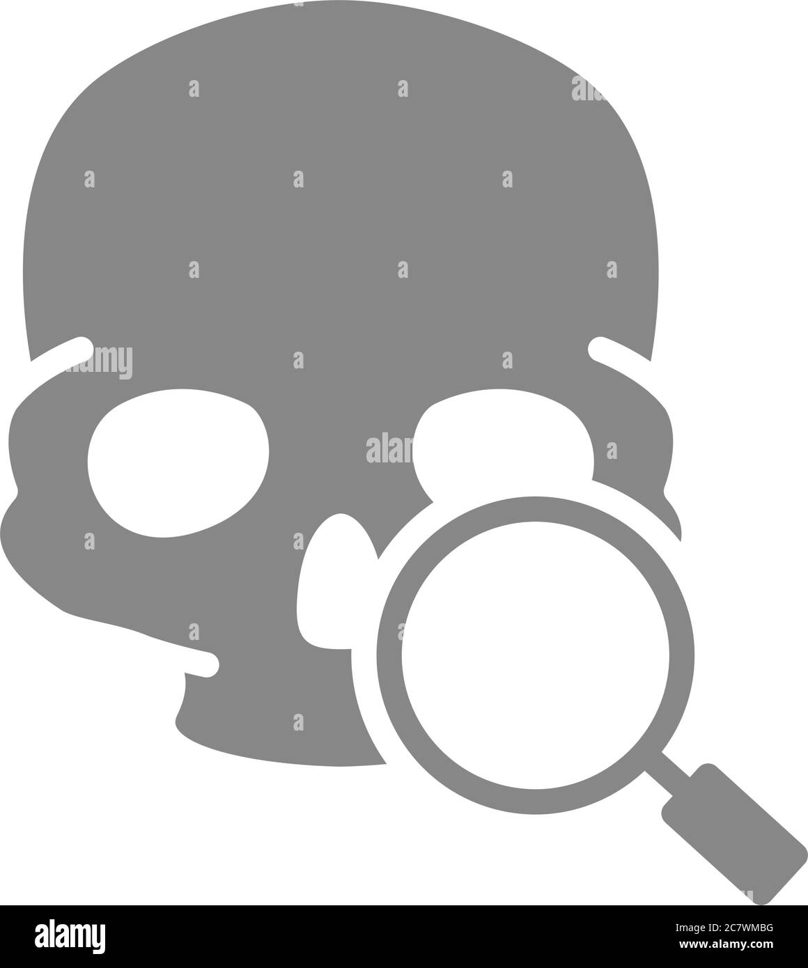 Skull with magnifying glass grey icon. Cranium research, bone structure ...
