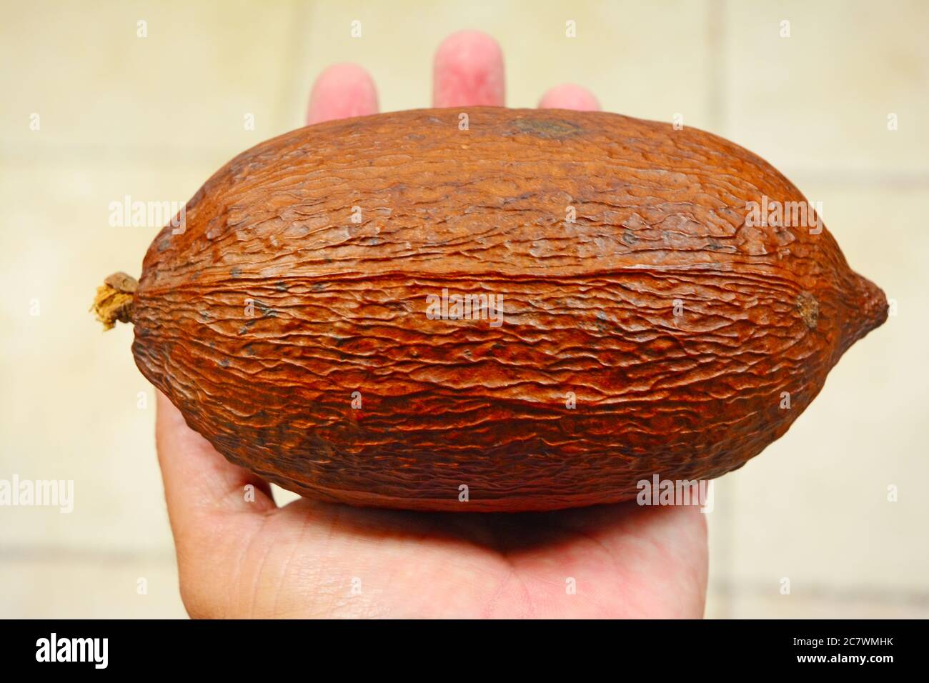 Cocoa pattern hi-res stock photography and images - Alamy