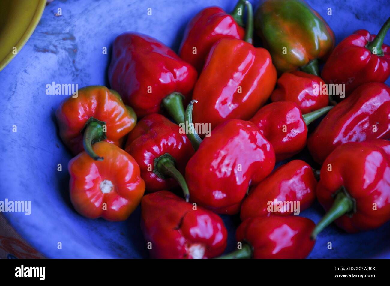 Suva fiji church hi-res stock photography and images - Alamy