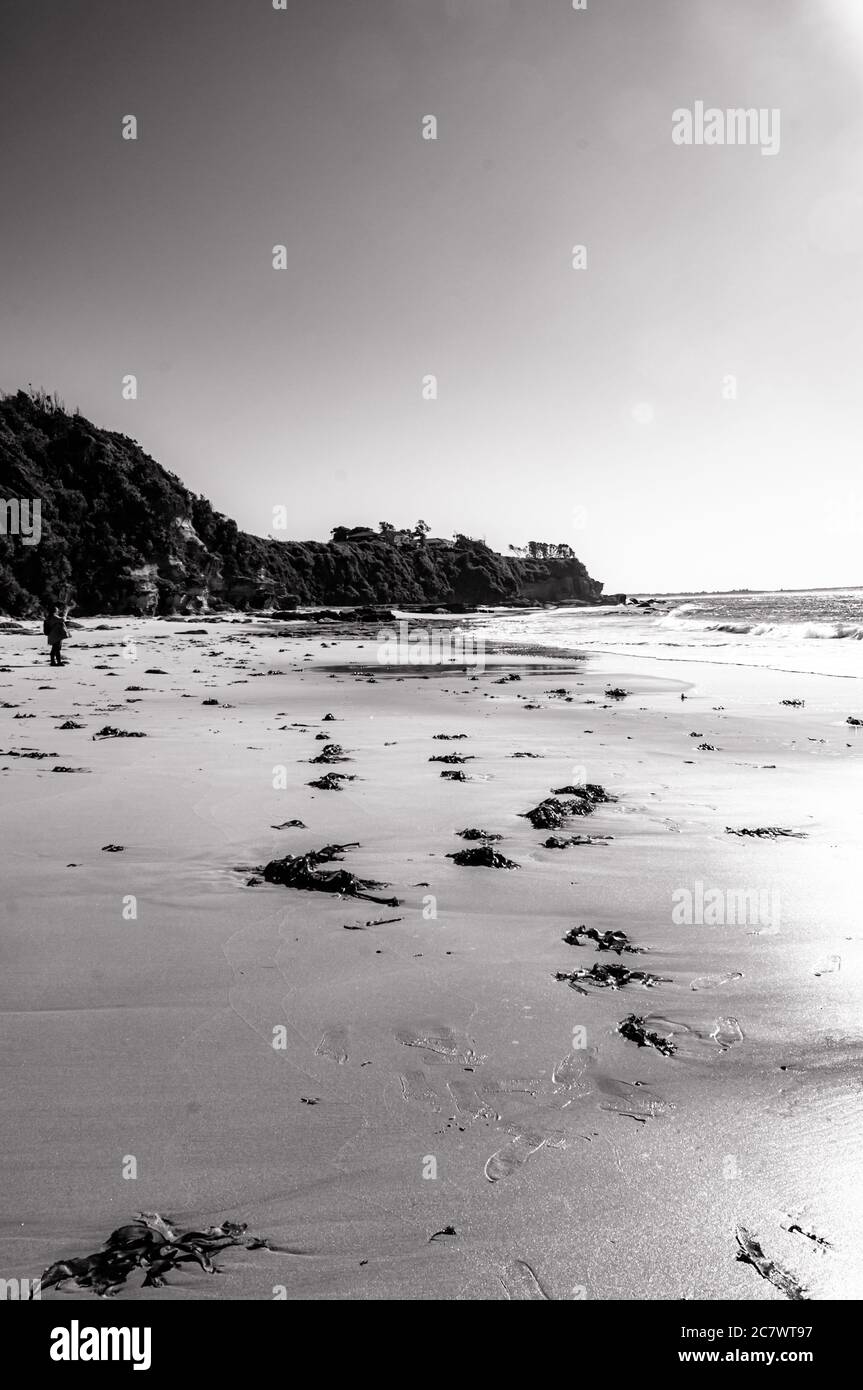 Grayscale scenery of a beautiful sandy beach on a blue seascape ...
