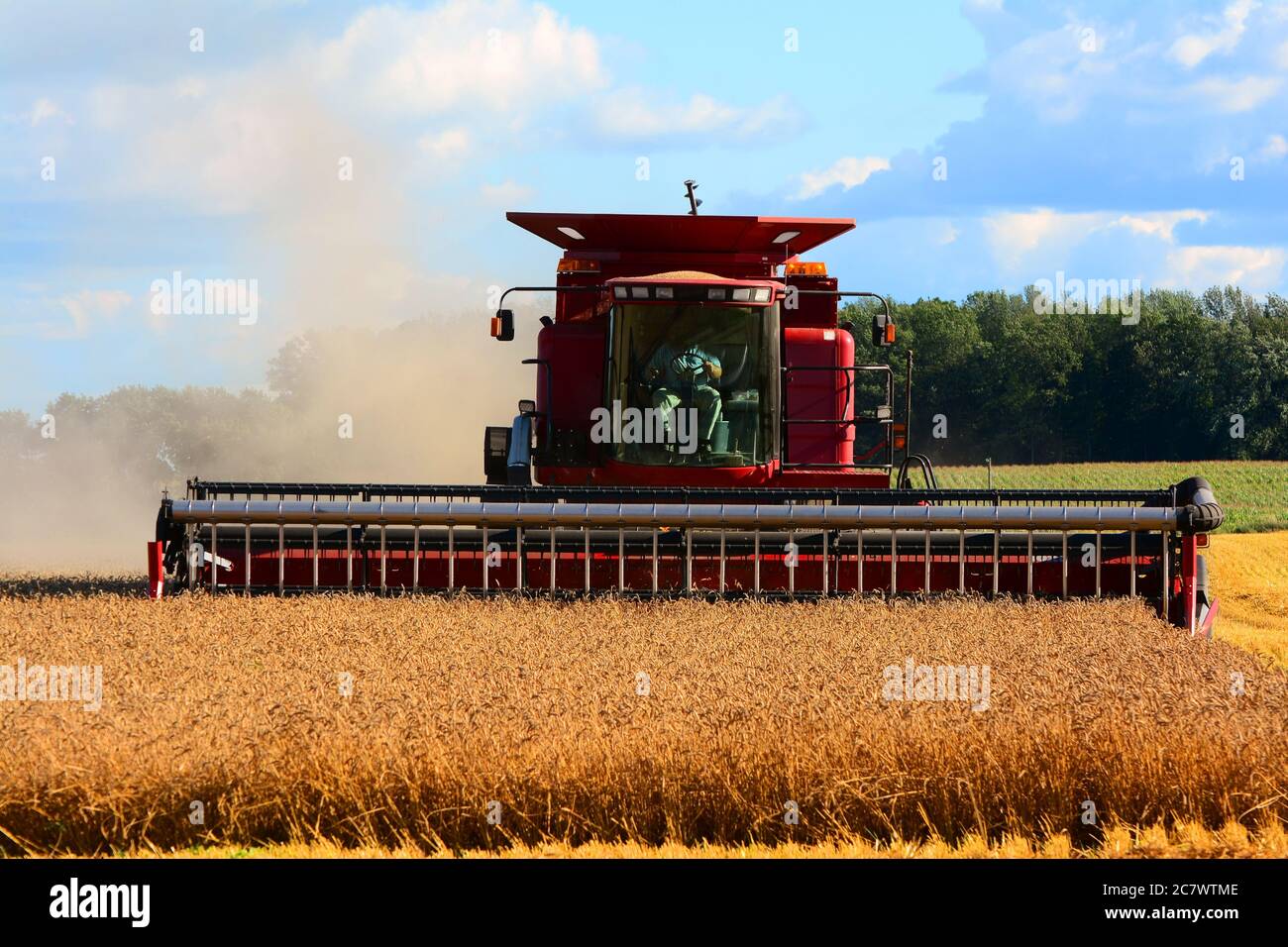 Harvesting ripe wheat combine harvester hi-res stock photography and ...