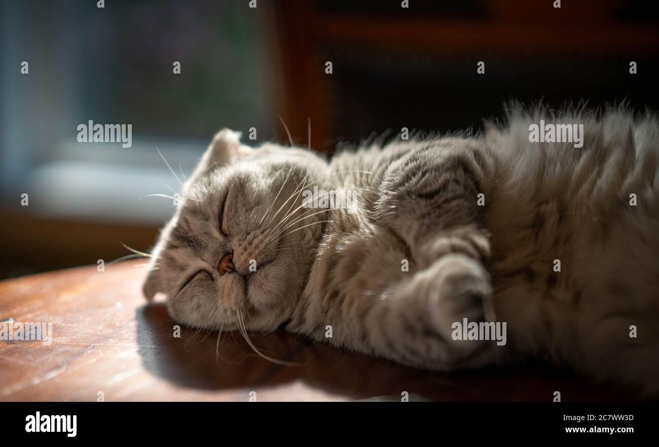 Simple peaceful beautiful hi-res stock photography and images - Alamy