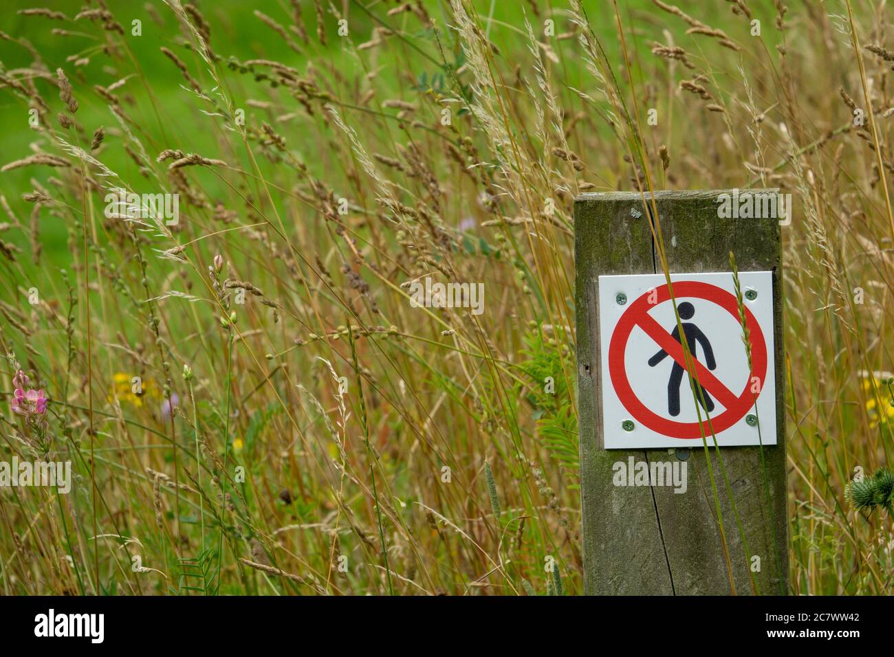 High ash farm hi-res stock photography and images - Alamy