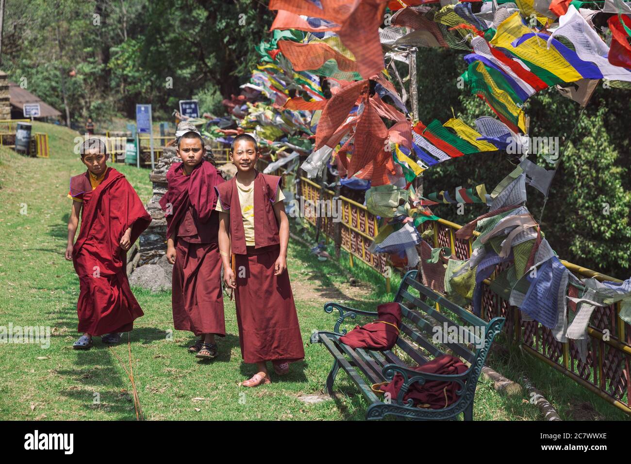 Young Buddhist Monks at Rumtek monastery, Sikkim, India Stock Photo - Alamy