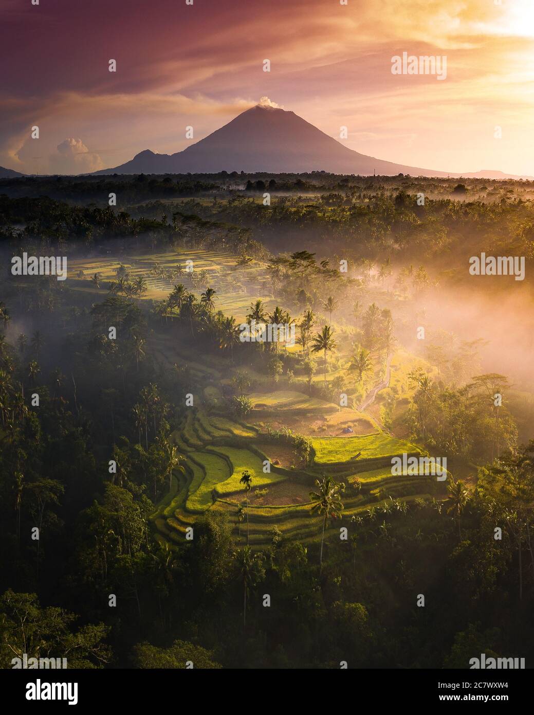 Vertical aerial shot of beautiful landscape near the Mount Agung ...
