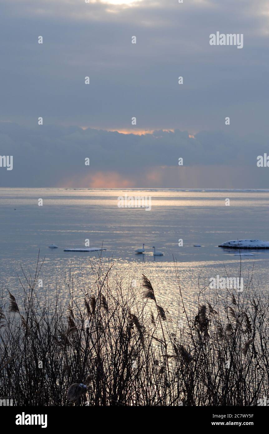Gravelly Bay, Lake Erie, Port Colborne Stock Photo - Alamy
