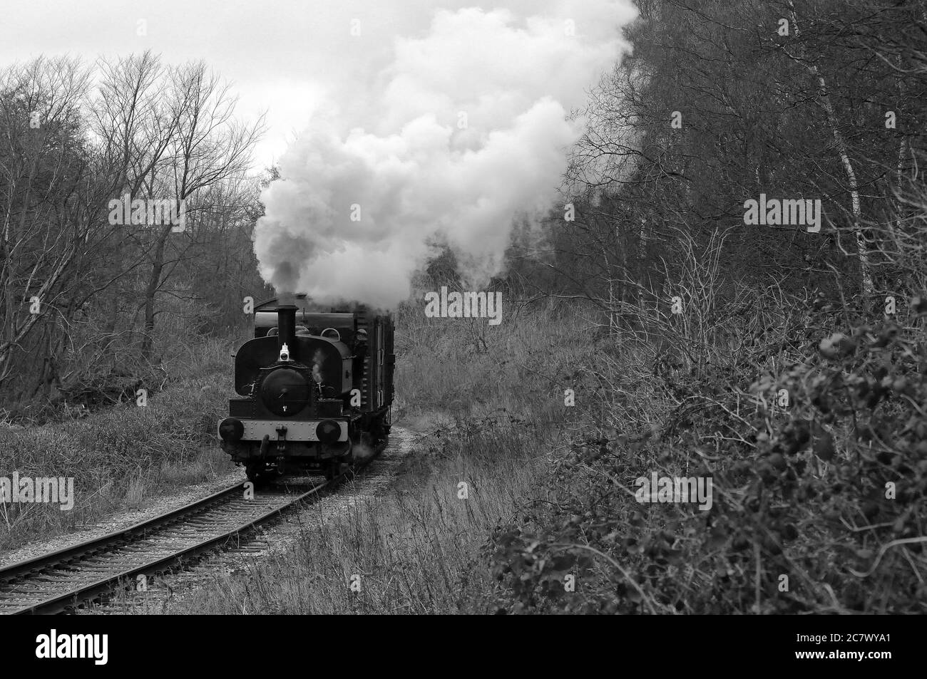 Barrow hill engine shed hi-res stock photography and images - Alamy