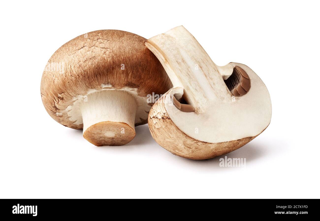 Two fresh mushrooms champignons, one whole and the other cut in half ...