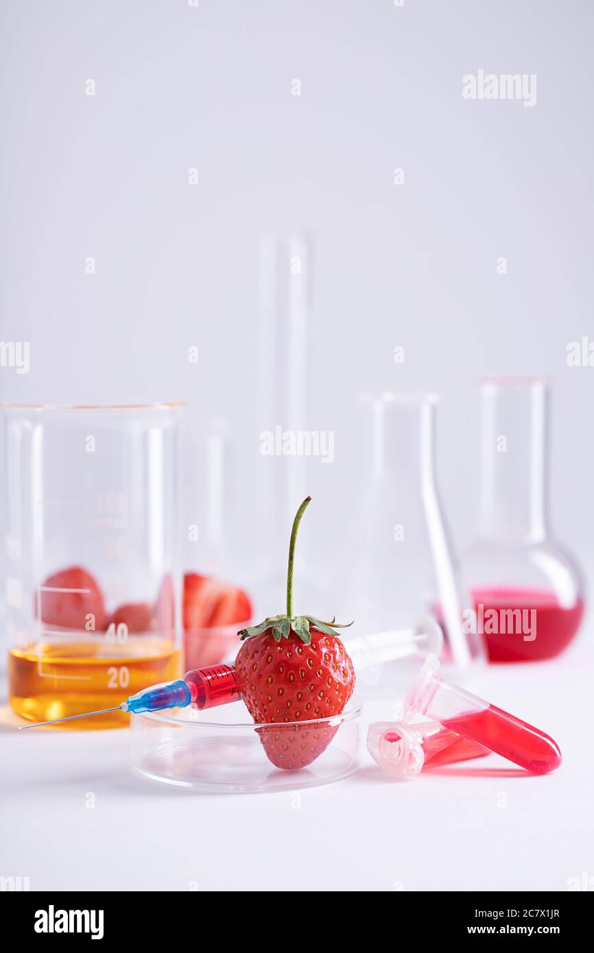 Vertical shot of the working space for a strawberry DNA extraction ... Vertical shot of the working space for a strawberry DNA extraction ...