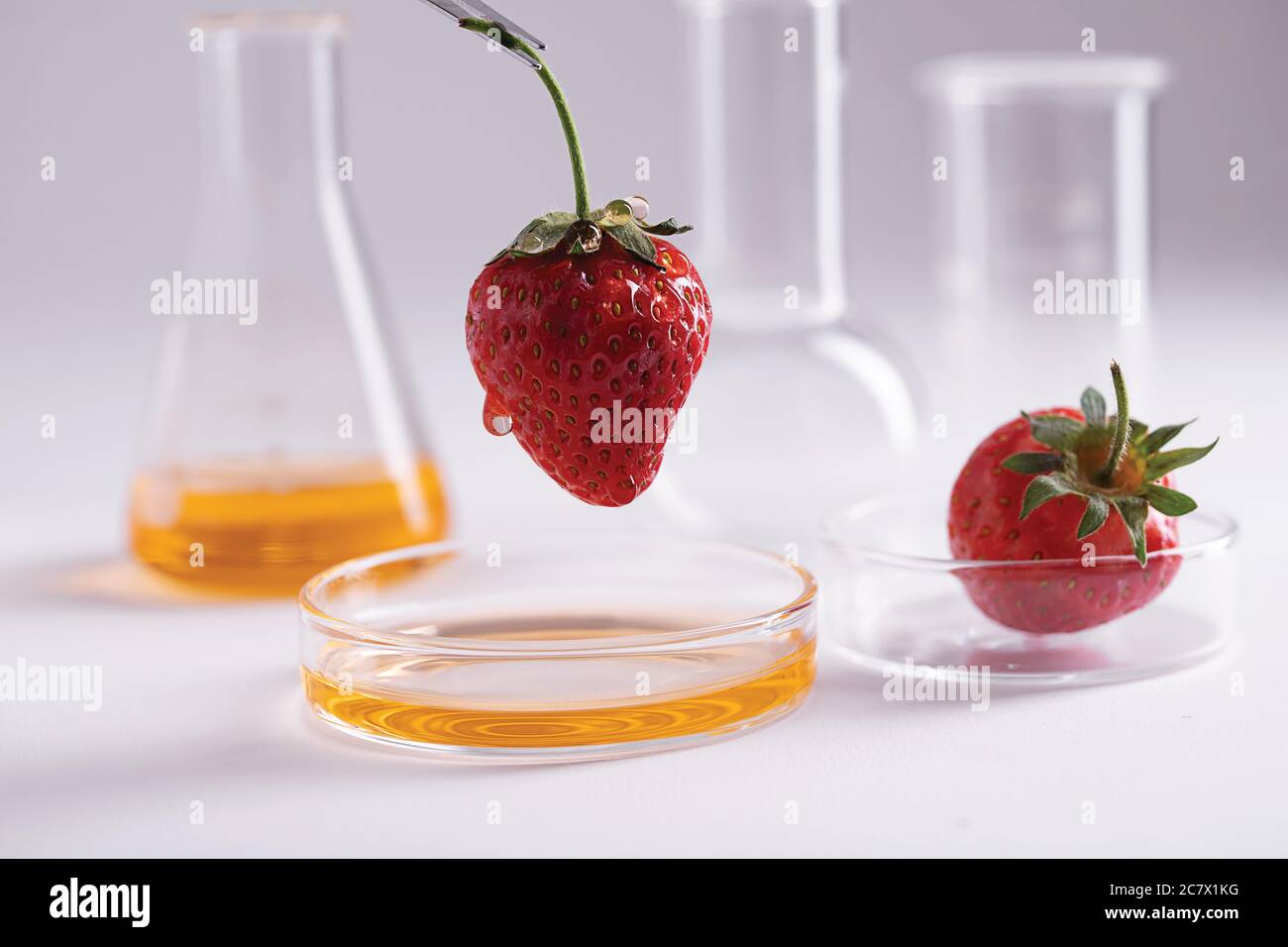 Strawberry dna extraction hi-res stock photography and images - Alamy