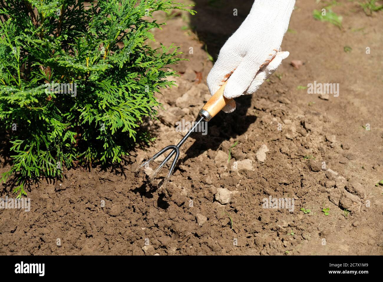 Farmer using hoe hand tool hi-res stock photography and images - Alamy