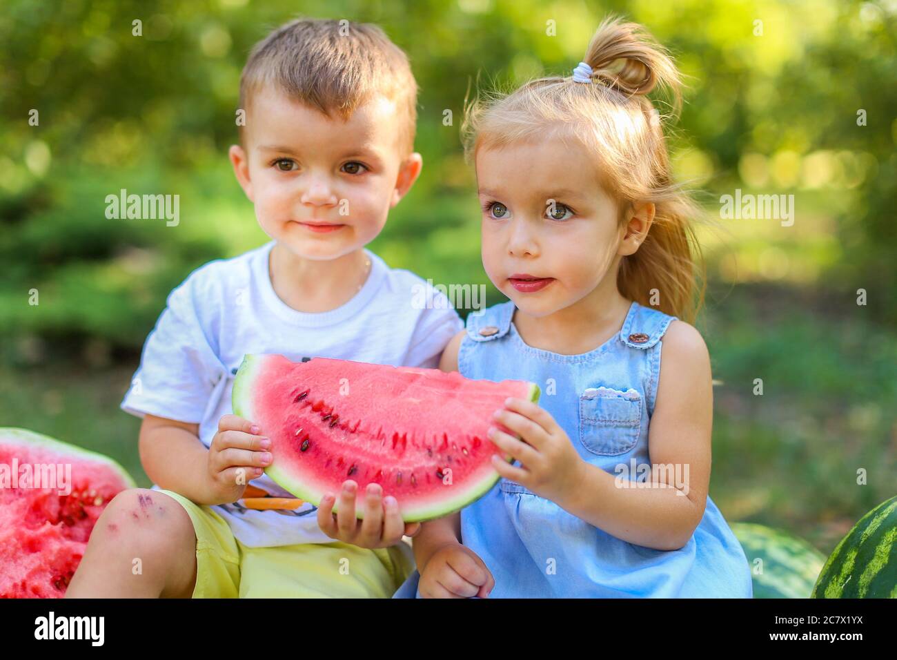 Two kids sitting between watermelons in the garden. Kids eat fruit ...