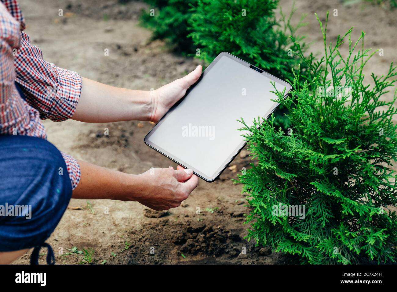 Female hands holding a digital tablet pc in her garden. Growth trees ...