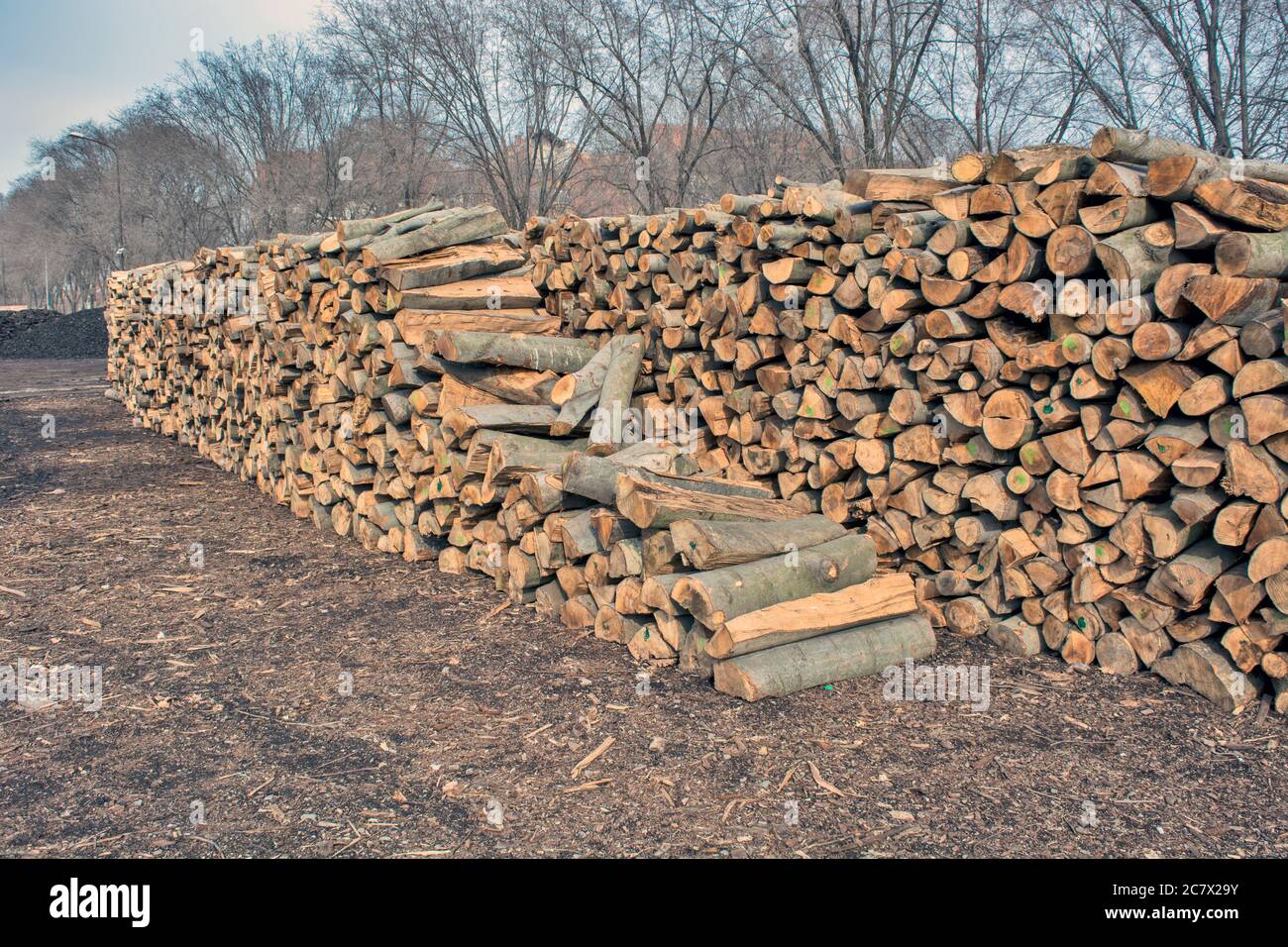 Piled cut log storage hi-res stock photography and images - Alamy