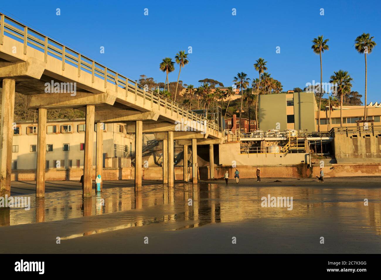 Ellen browning memorial scripps pier hi-res stock photography and ...