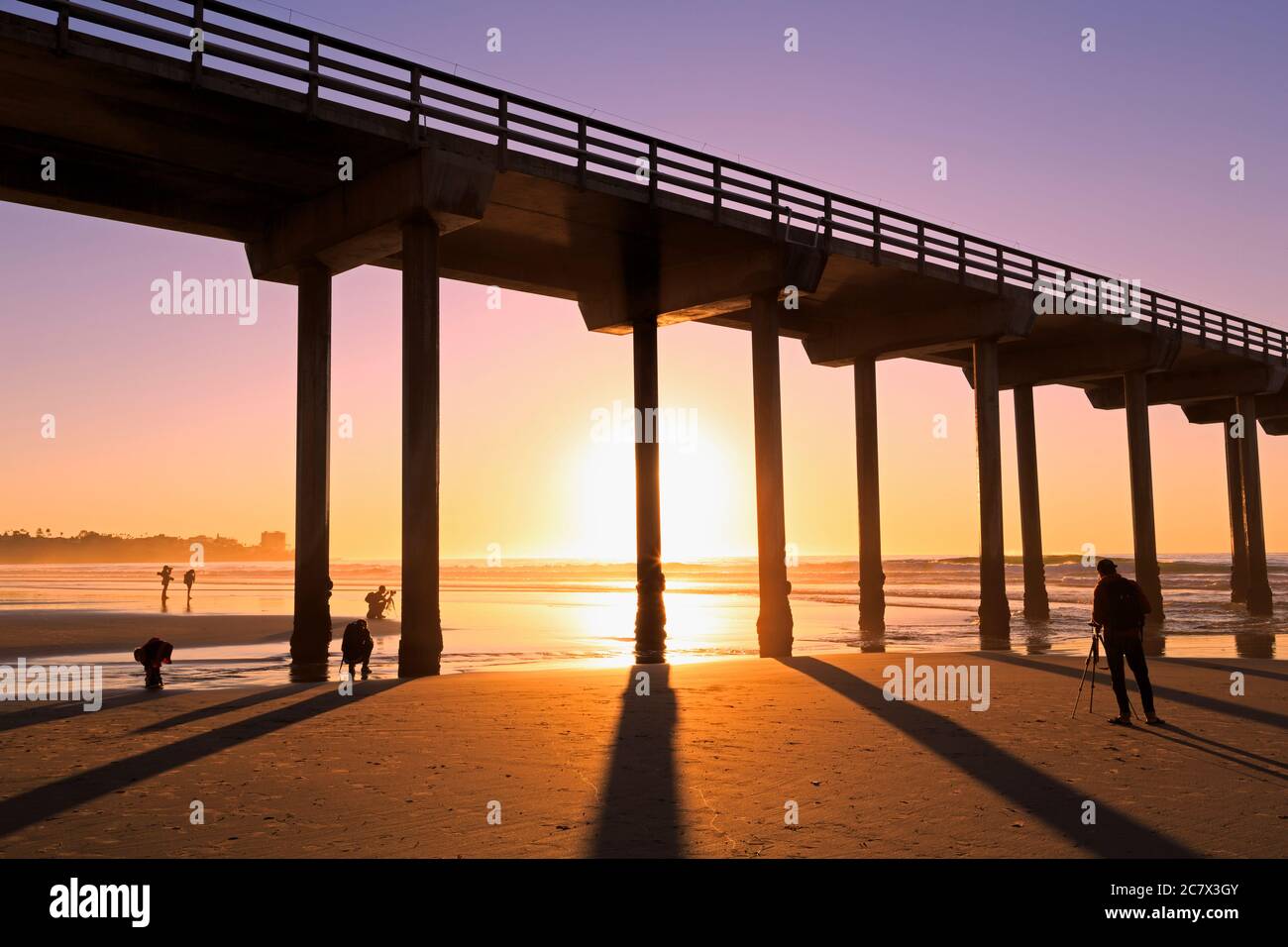 Ellen browning memorial scripps pier hi-res stock photography and ...