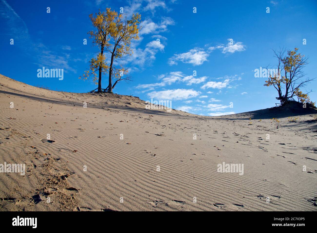 Beautiful exposure is done with its autumn leaf color over the blue sky ...