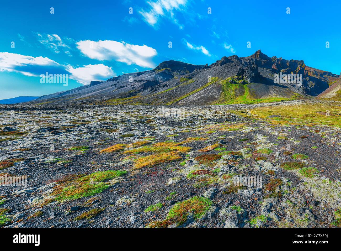 Typical view of Iceland rocky lava plains, covered by moss and ...