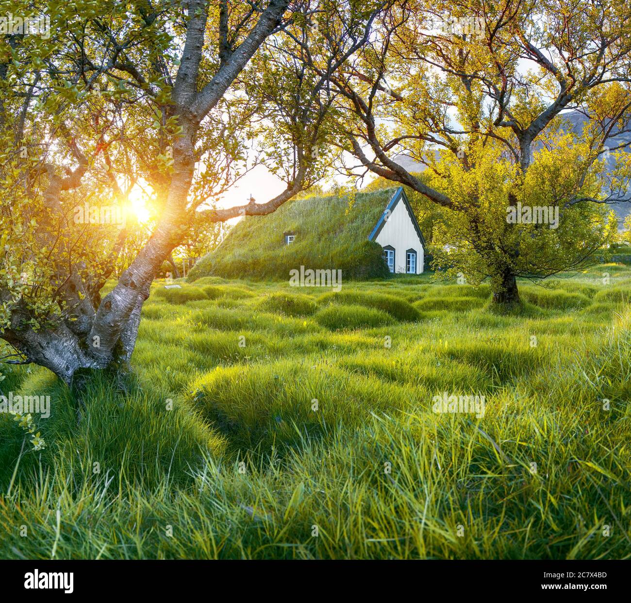 Turf top view hi-res stock photography and images - Alamy