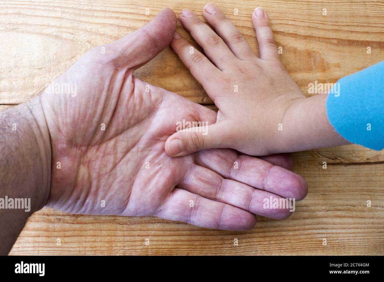 Overhead shot of a grownup person's hand and a younger person's hand on ...