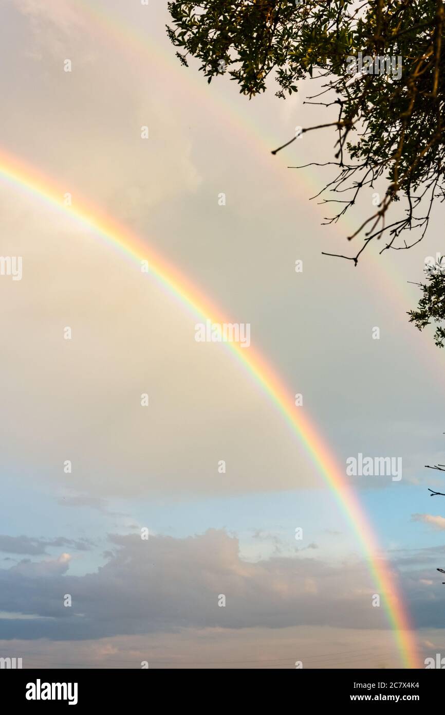 Vertical low angle shot of a double rainbow in the sky captured from a ...