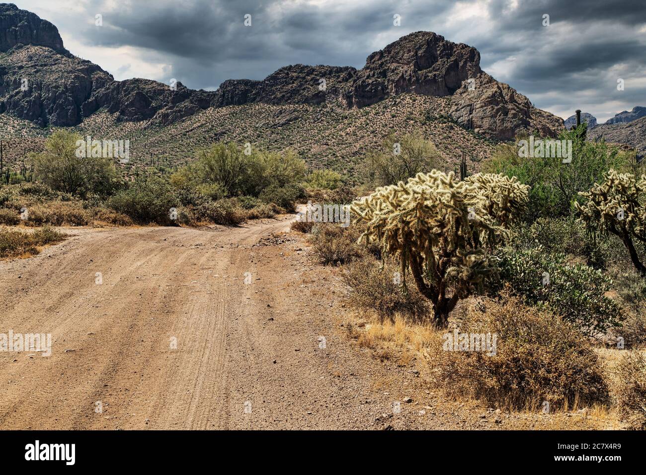A view of the Sonoran Desert near Phoenix, Arizona Stock Photo - Alamy
