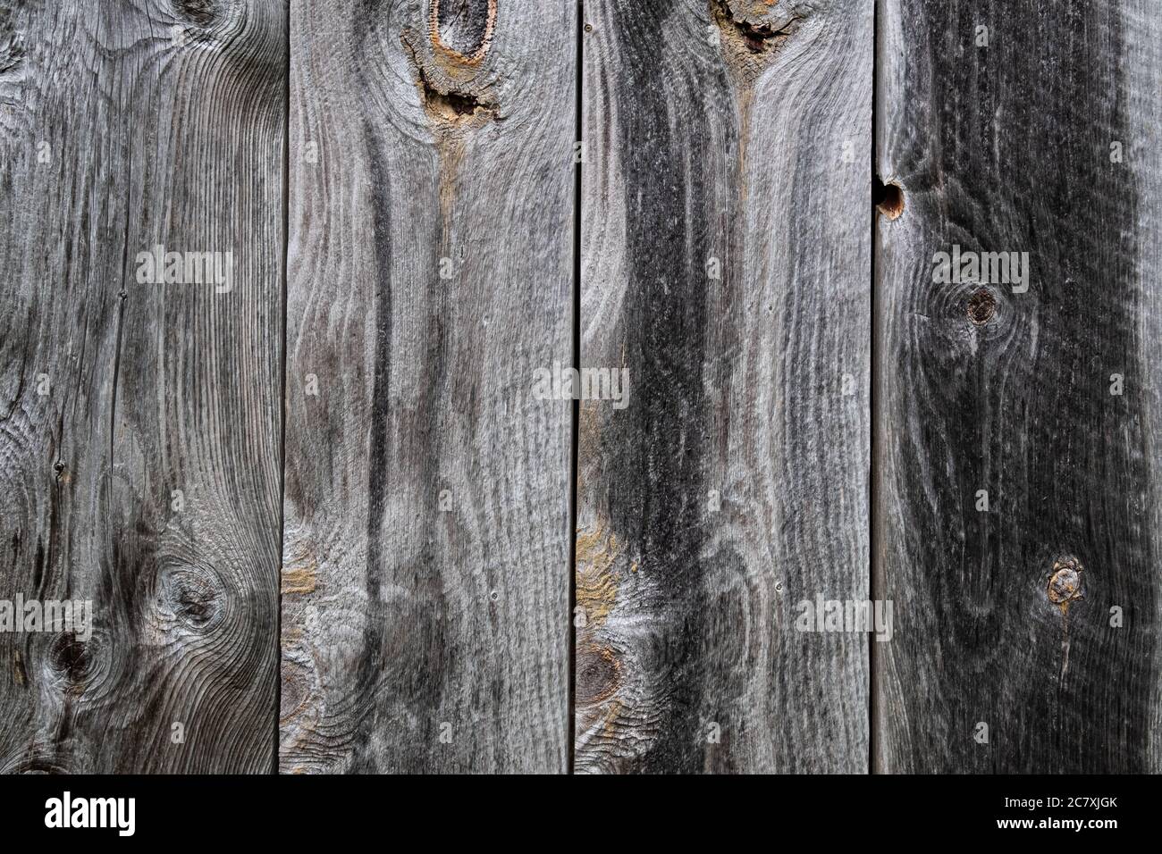 Painted Wood Siding Texture