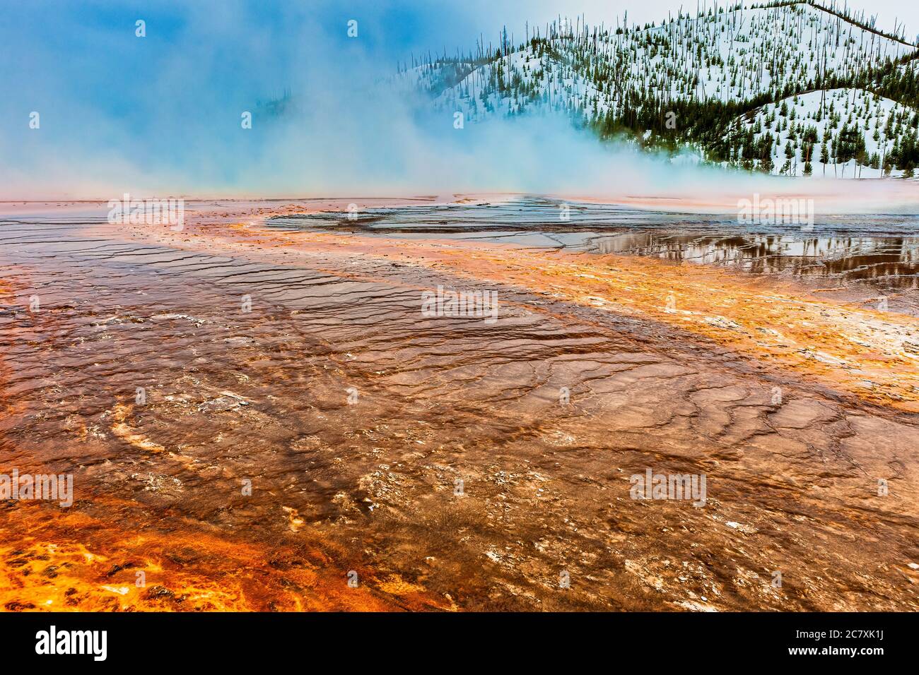 Colorful Hot Spring and Geyser in Yellowstone National Park Stock Photo ...