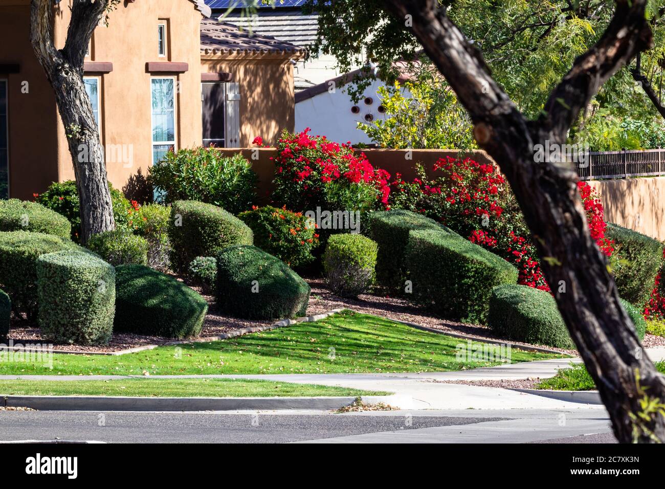 Backyard of an suburban house hi-res stock photography and images - Alamy