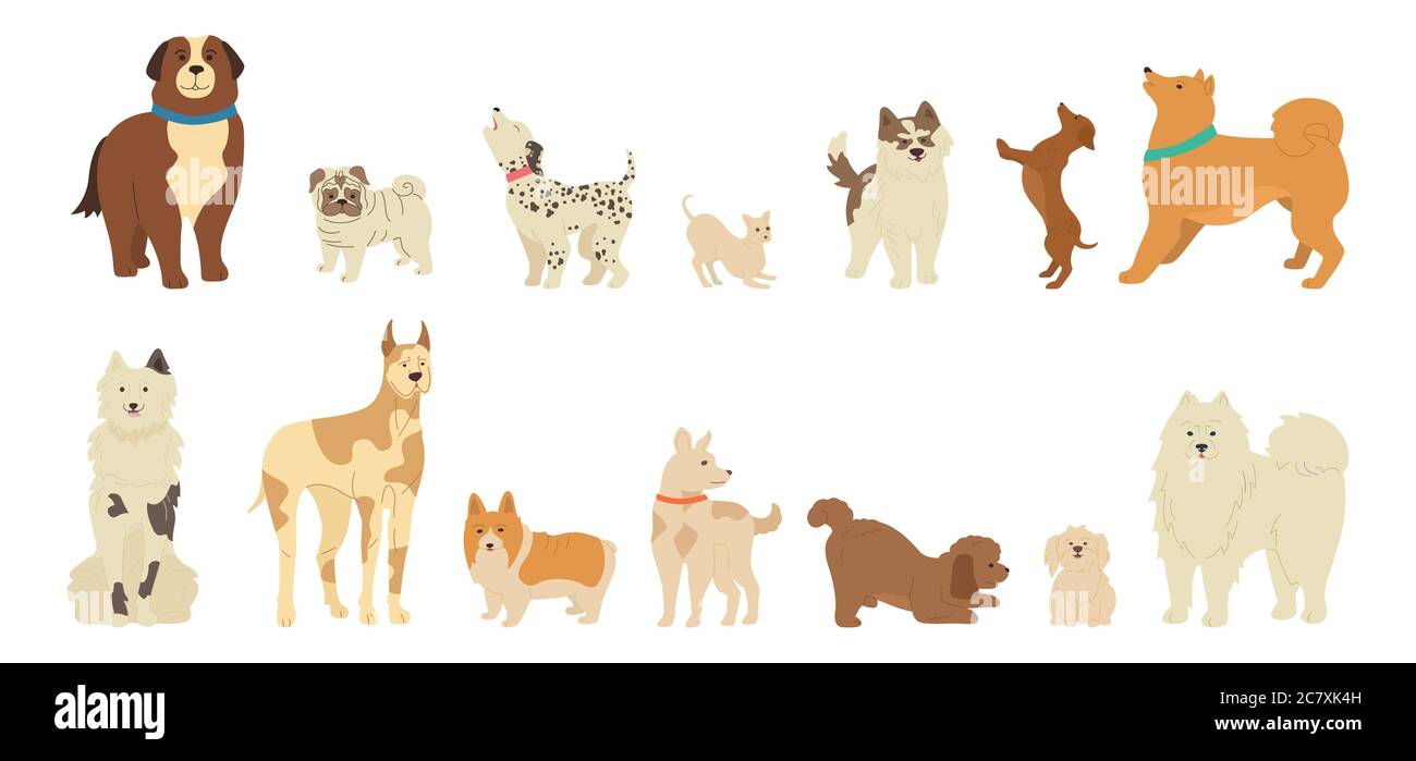 Dog character cartoon collection. Funny different breeds dogs flat ...