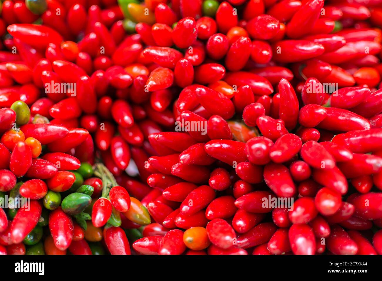 Closeup shot of the fresh and spicy red chillis Stock Photo - Alamy