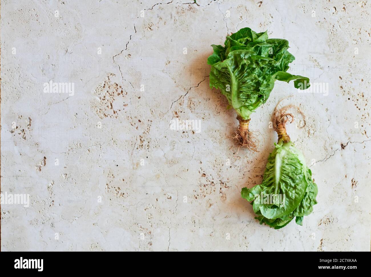 Overhead shot of fresh green lettuce on gray marble surface with space ...